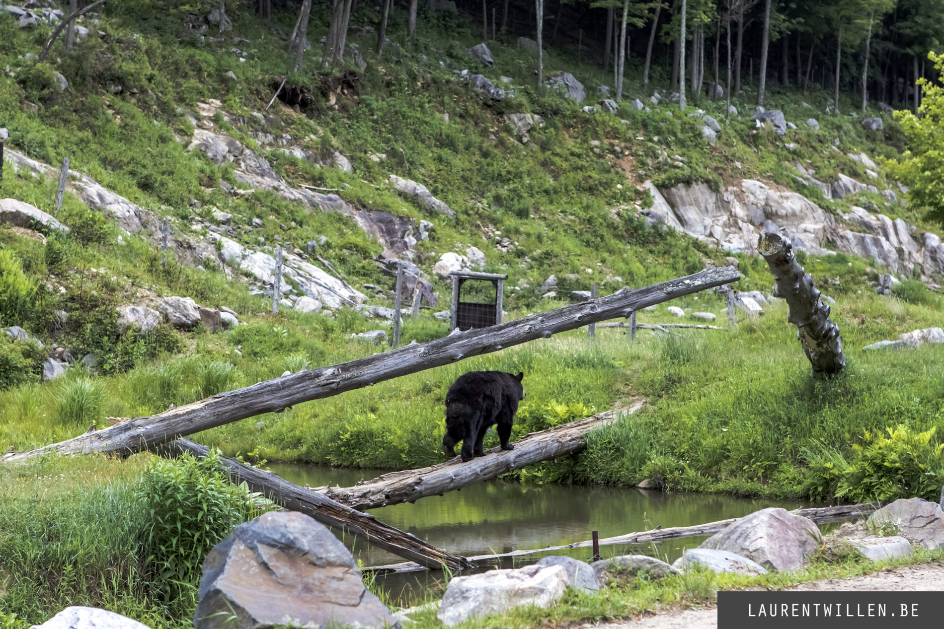 Parc animalier Omega (visite, photos, avis,...)