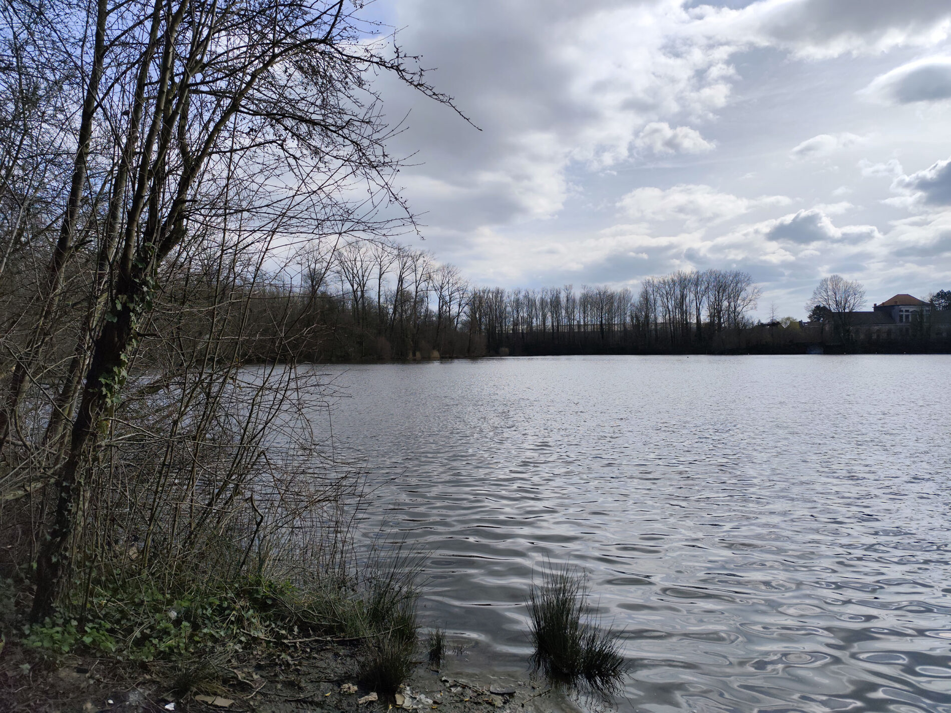 Redmi Note 13 Pro : test and review (photo quality)