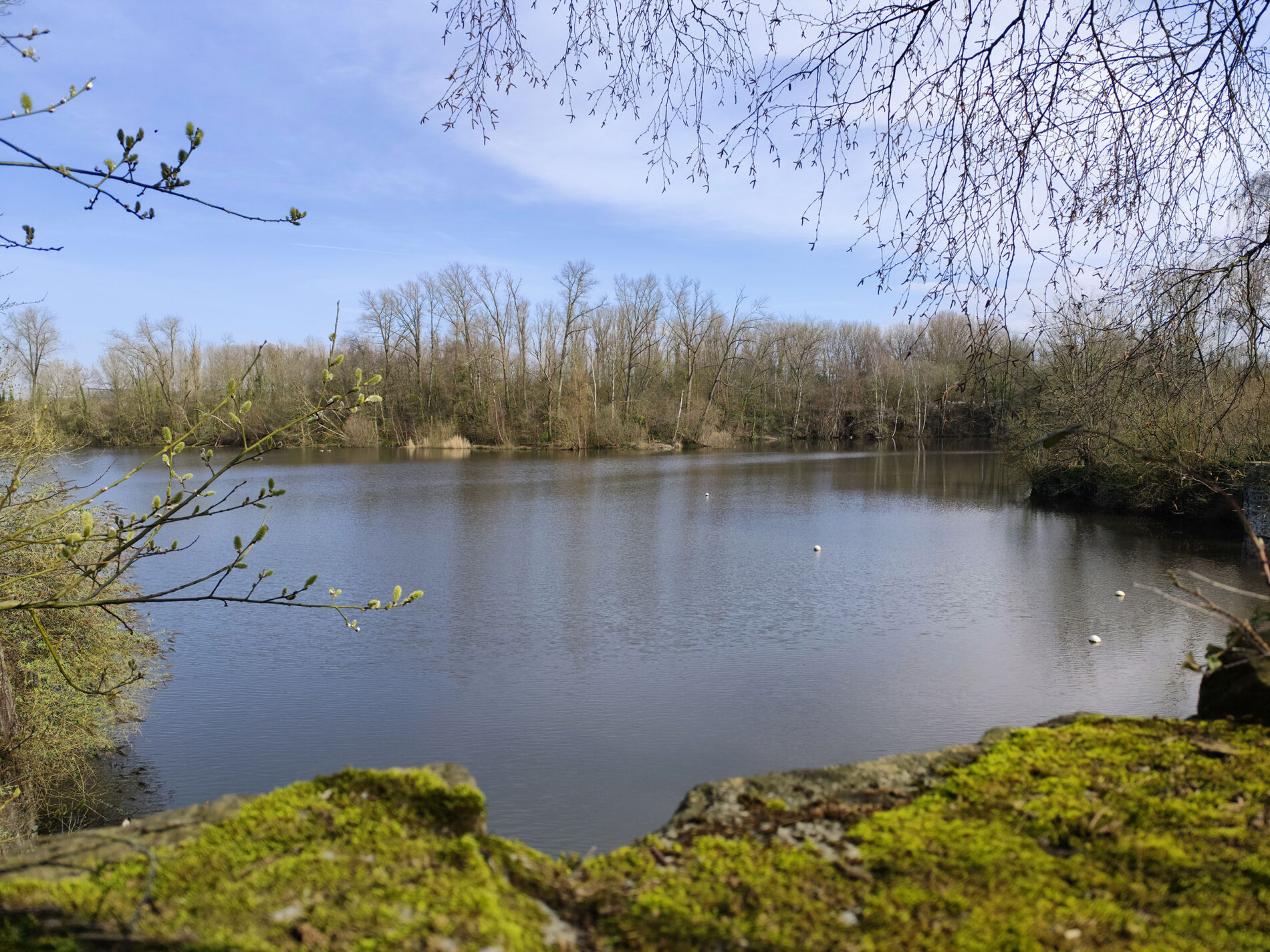 Redmi Note 13 Pro : test and review (photo quality)